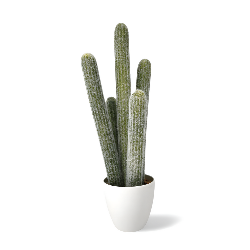 Nep Cactus Groot 54 cm – Dulaire®